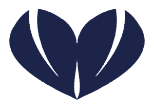 TDAIO – Talent Development Academy for International Organizations